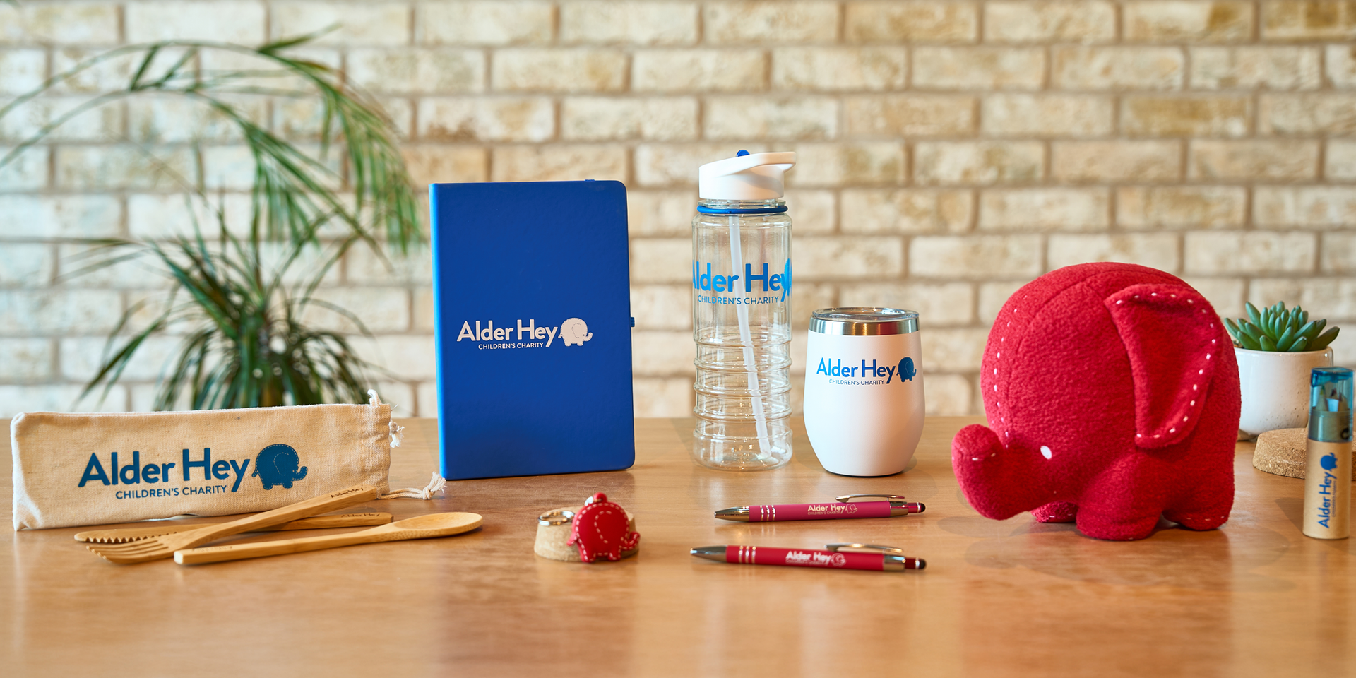 Childrens Charity Online Shop | Alder Hey Children's Charity